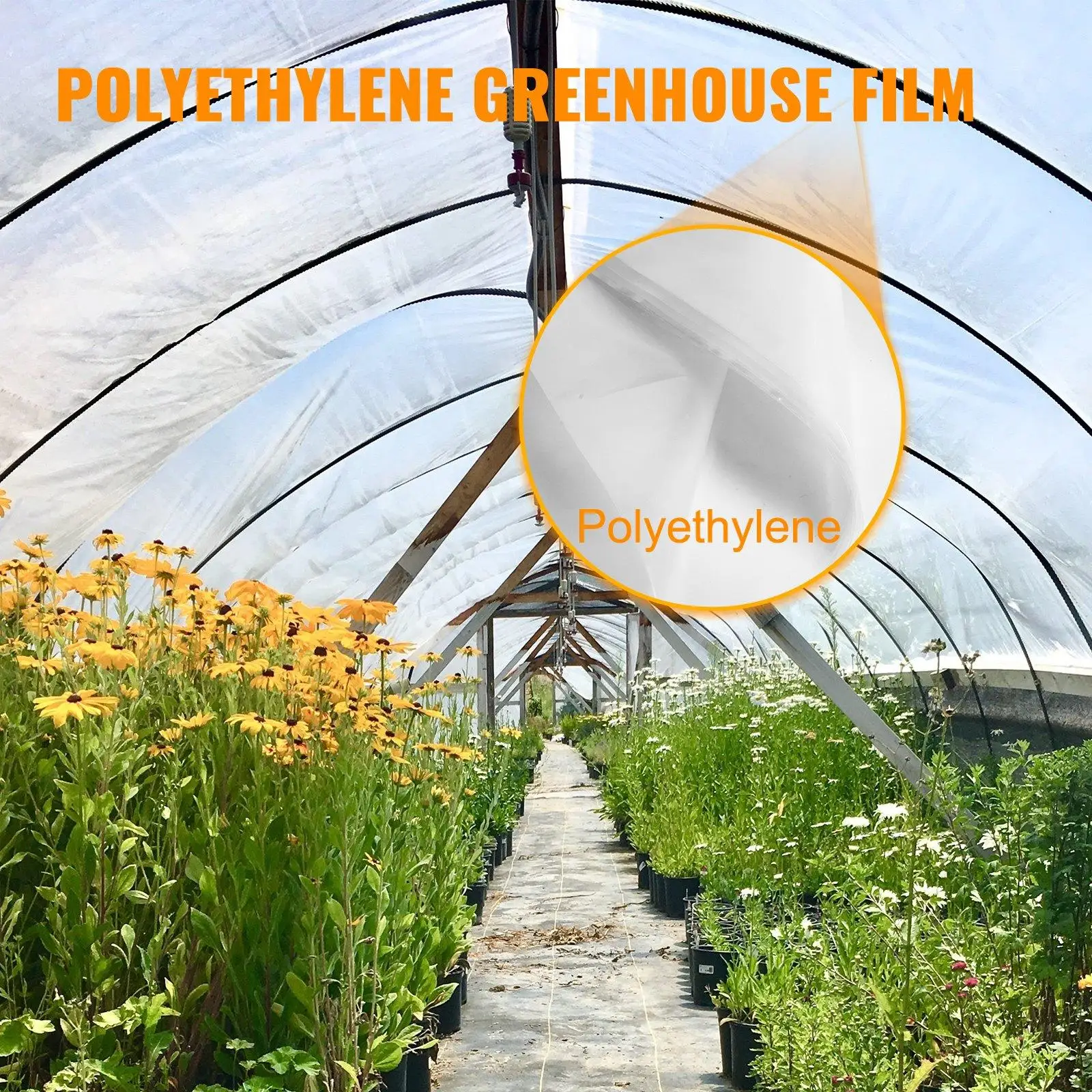 Clear Greenhouse Plastic: A Guide to Choosing the Right Material for ...