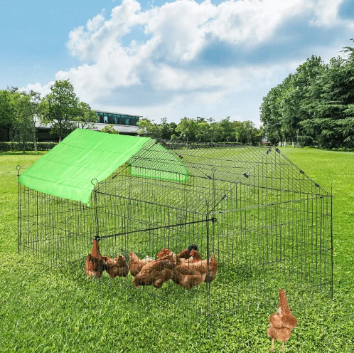 How To Build a Chicken Run: A Comprehensive Guide - VEVOR Blog