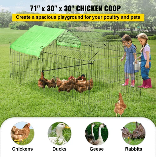 How To Build a Chicken Run: A Comprehensive Guide - VEVOR Blog