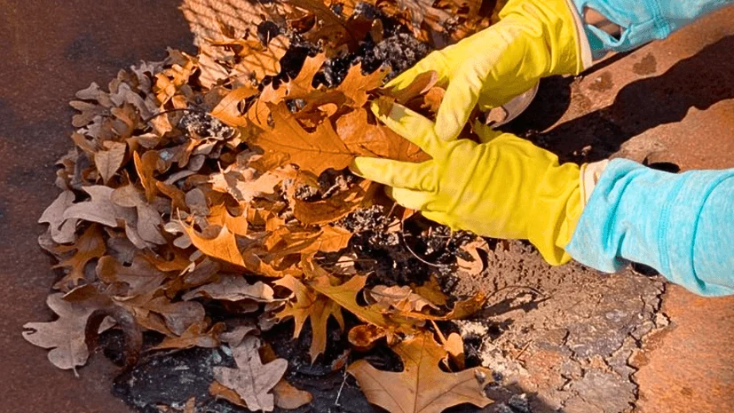 How to Clean a Fire Pit in Just a Few Easy Steps - VEVOR Blog