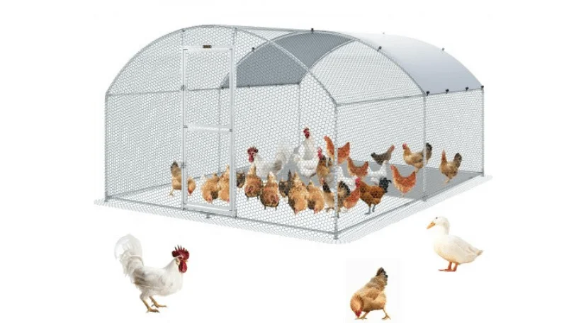 Metal Chicken Coop Essentials: What You Need to Know Before Making a ...