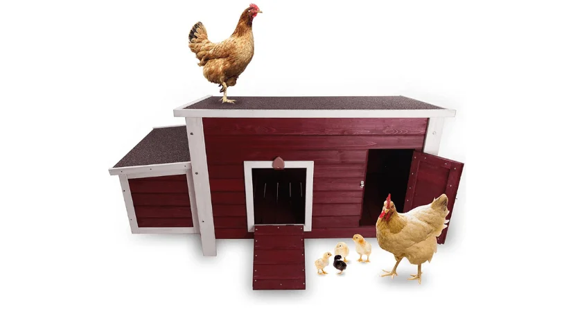 Metal Chicken Coop Essentials: What You Need to Know Before Making a ...