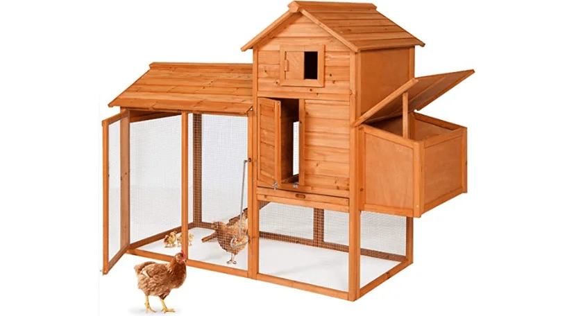 Metal Chicken Coop Essentials: What You Need to Know Before Making a ...