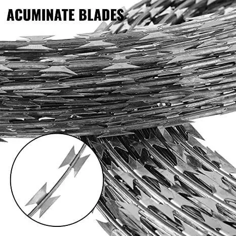 Les 5 meilleures revues de barbelés en 2024 – Tout ce que vous devez ...