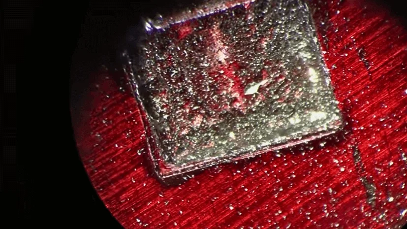 VEVOR Inlay Microscope Review: Experience Precision and Clarity With ...