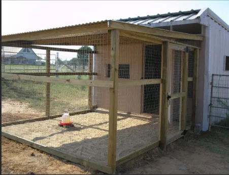 Choosing the Right Sand for Your Chicken Coop: A Comprehensive Guide ...