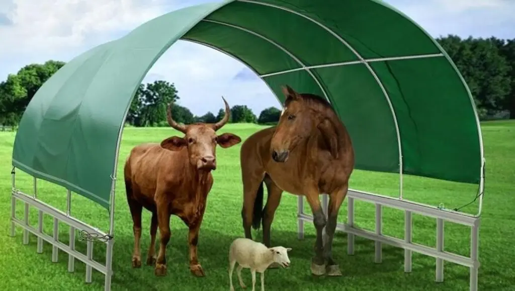 What is the Best Portable Livestock Shelter for 2024? Ultimate Buyer’s ...