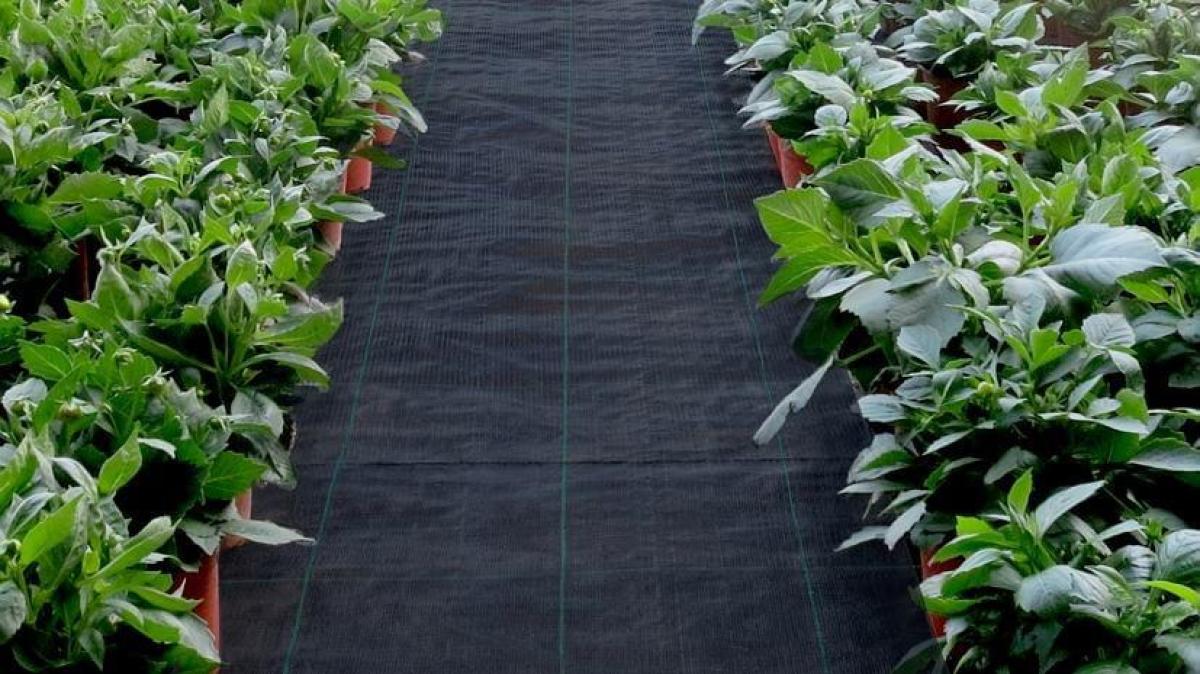 Landscape woven fabric store