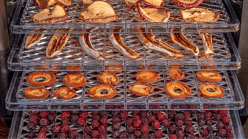 Unveiling the Truth: Do Food Dehydrators Guzzle Electricity - VEVOR Blog