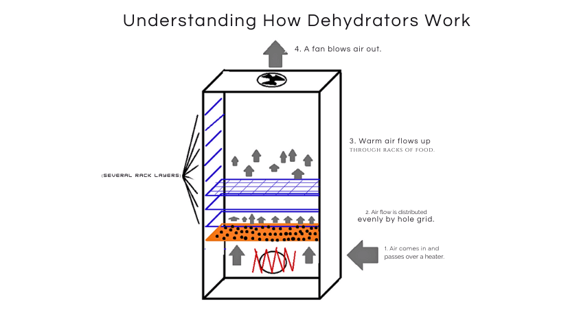 Unveiling the Truth: Do Food Dehydrators Guzzle Electricity - VEVOR Blog