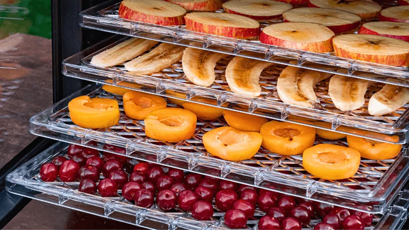 Finding Your Perfect Fit: What Size Dehydrator Do I Need - VEVOR Blog