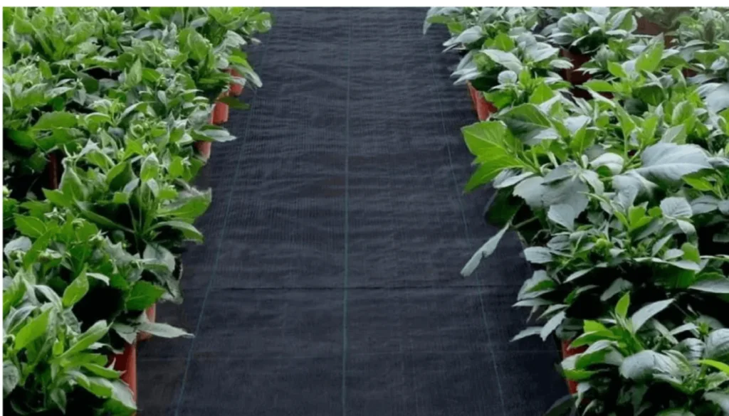 How to Effectively Fertilize through Landscape Fabric - VEVOR Blog