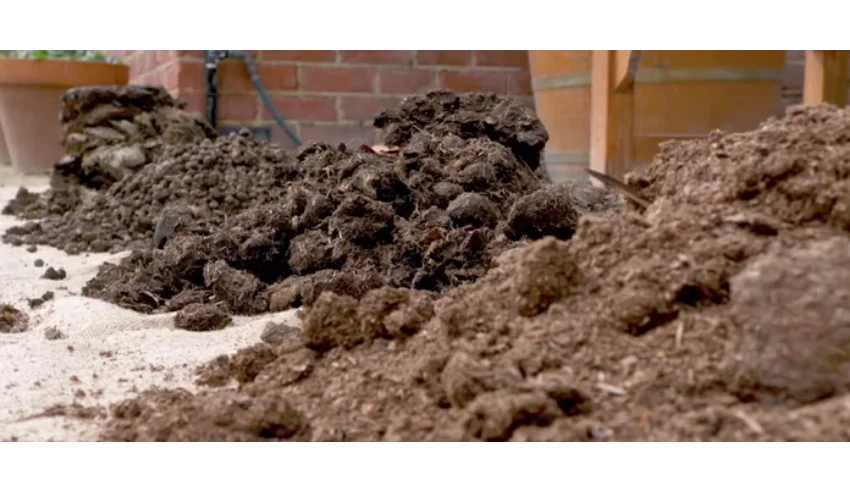 Compost vs. Estiércol: conozca todo lo desconocido - VEVOR Blog