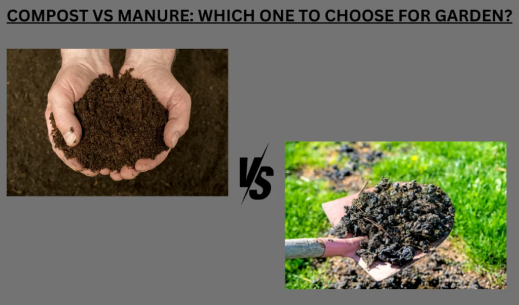 Compost Vs Manure Comparison Archives - VEVOR Blog