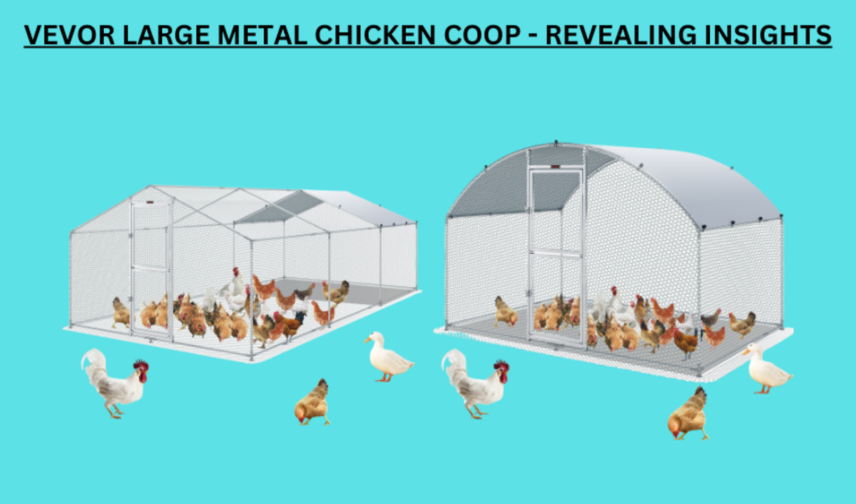 VEVOR Large Metal Chicken Coop - Revealing Insights - VEVOR Blog