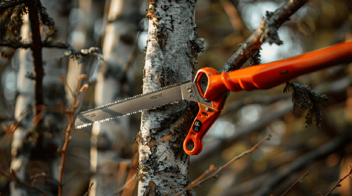 Elevate Your Pruning Game: Top 5 Tree Pole Pruners of 2024 - VEVOR Blog