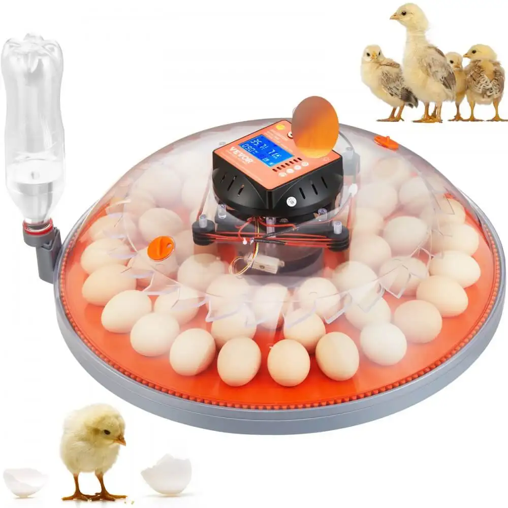How to Incubate Eggs: A Step-by-Step Guide with VEVOR Incubator - VEVOR Blog
