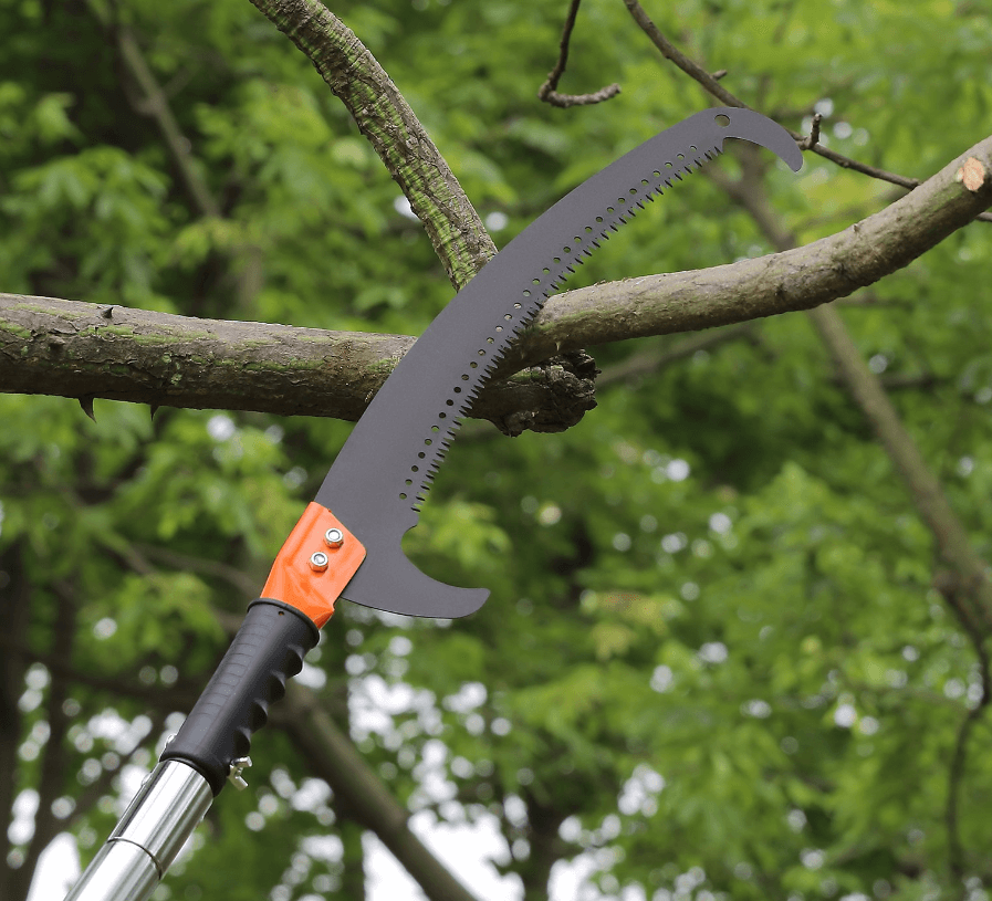 Elevate Your Pruning Game: Top 5 Tree Pole Pruners of 2024 - VEVOR Blog