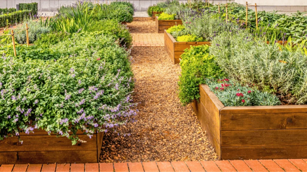 Choosing the Perfect Wood for Your Raised Garden Bed - VEVOR Blog