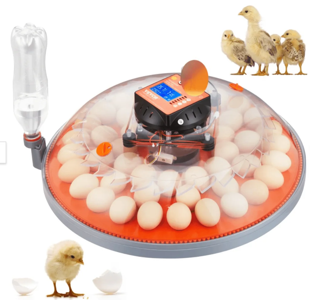 Discover the Best Incubator of 2024 for Your Needs - VEVOR Blog