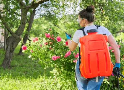 How To Use Weed Sprayer- Your Ultimate Guide to Efficient Spraying ...