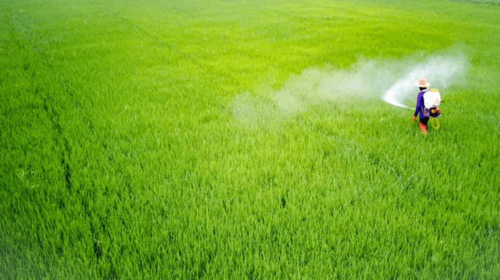 How To Use Weed Sprayer- Your Ultimate Guide to Efficient Spraying ...