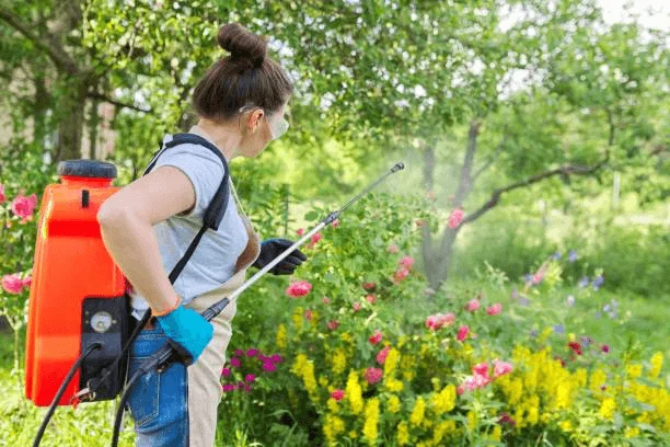 How To Use Weed Sprayer- Your Ultimate Guide to Efficient Spraying ...