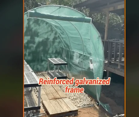 VEVOR Walk-in Tunnel Greenhouse For Lush & Bountiful Plants - VEVOR Blog