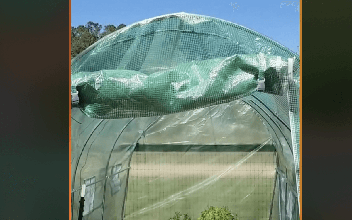 VEVOR Walk-in Tunnel Greenhouse For Lush & Bountiful Plants - VEVOR Blog