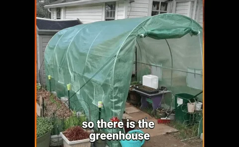 VEVOR Walk-In Tunnel Greenhouse For A Lush Green Garden - VEVOR Blog
