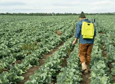 How to Choose a Backpack Sprayer: Key Factors to Consider - VEVOR Blog