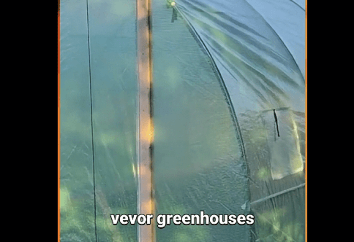 VEVOR Walk-in Tunnel Greenhouse For Beautiful Garden - VEVOR Blog