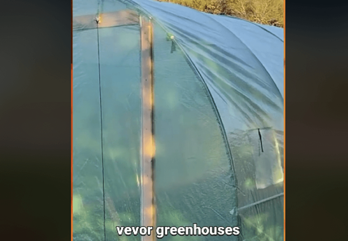 Enhance Your Gardening Experience with the VEVOR Walk-In Tunnel ...