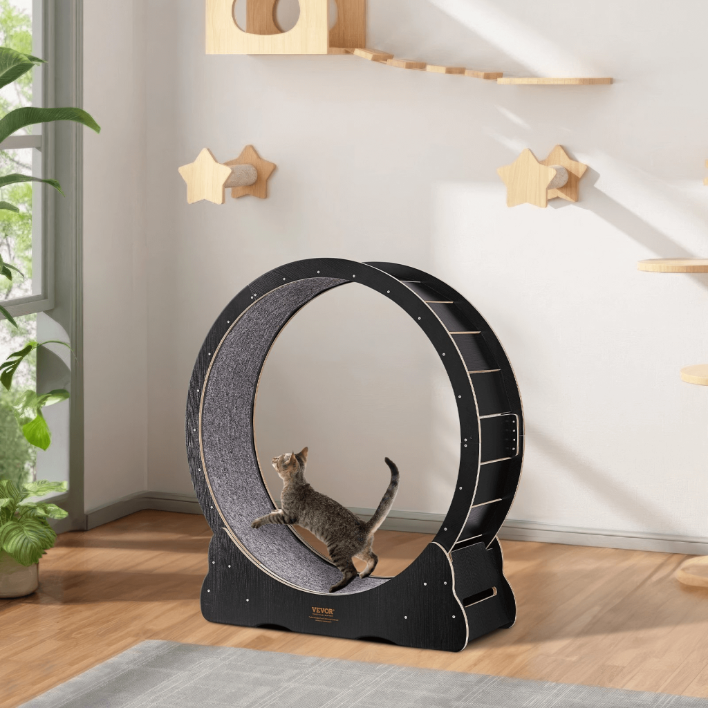 VEVOR Cat Wheel Reviews: Why Cat Owners Love It - VEVOR Blog