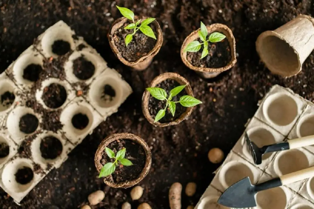 I migliori strumenti da giardinaggio: ciò di cui ha bisogno ogni ...