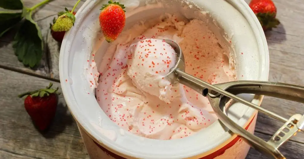 How to Make Ice Cream at Home - VEVOR Blog