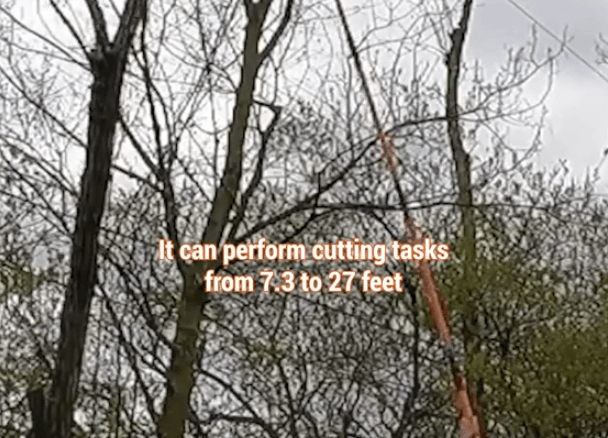 VEVOR Extendable Tree Pruner: Easily Maintain Your Trees - VEVOR Blog