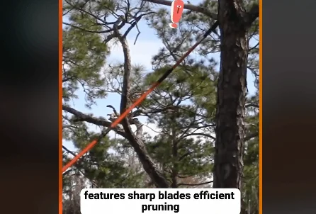 VEVOR Extendable Tree Pruner For Gardening Professionals - VEVOR Blog