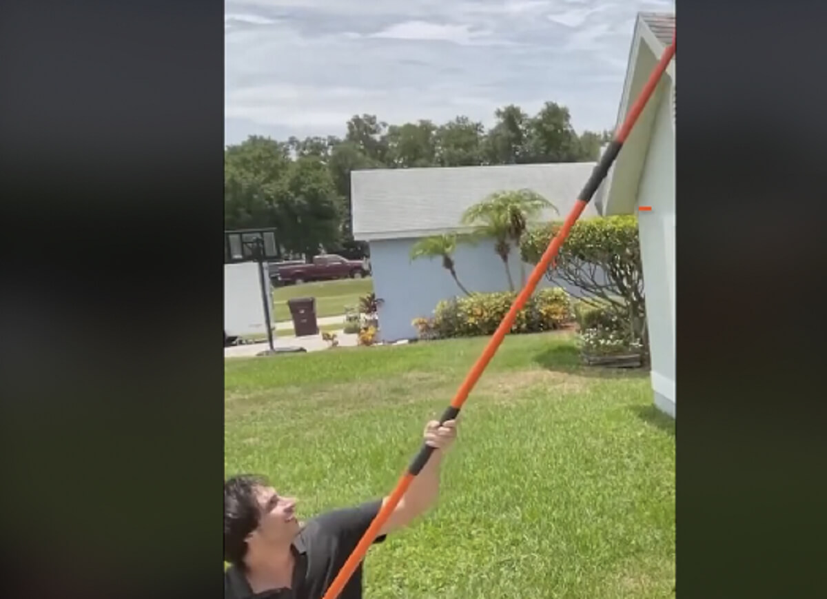 VEVOR Extendable Tree Pruner For Safe & Easy Pruning - VEVOR Blog