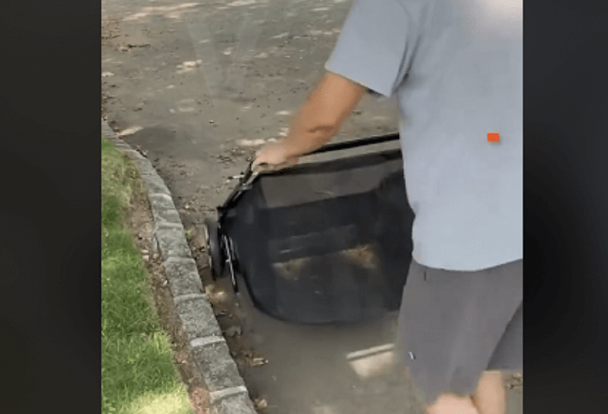 VEVOR Lawn Sweeper To Maintain The Most Aesthetic Garden - VEVOR Blog