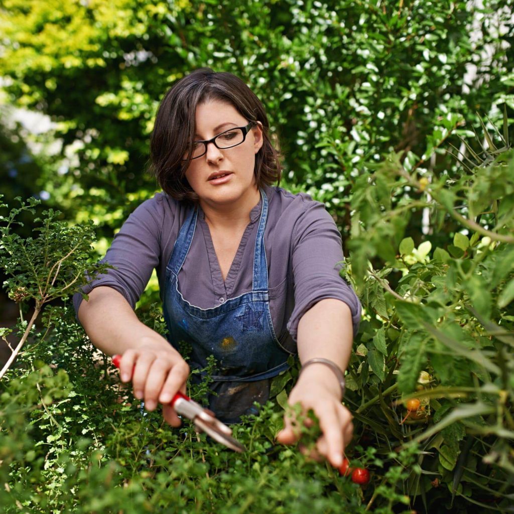 What to Plant in Fall for a Vibrant Garden - VEVOR Blog