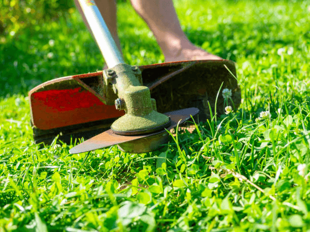 How Does a Lawn Edger Work: Everything You Should Know - VEVOR Blog