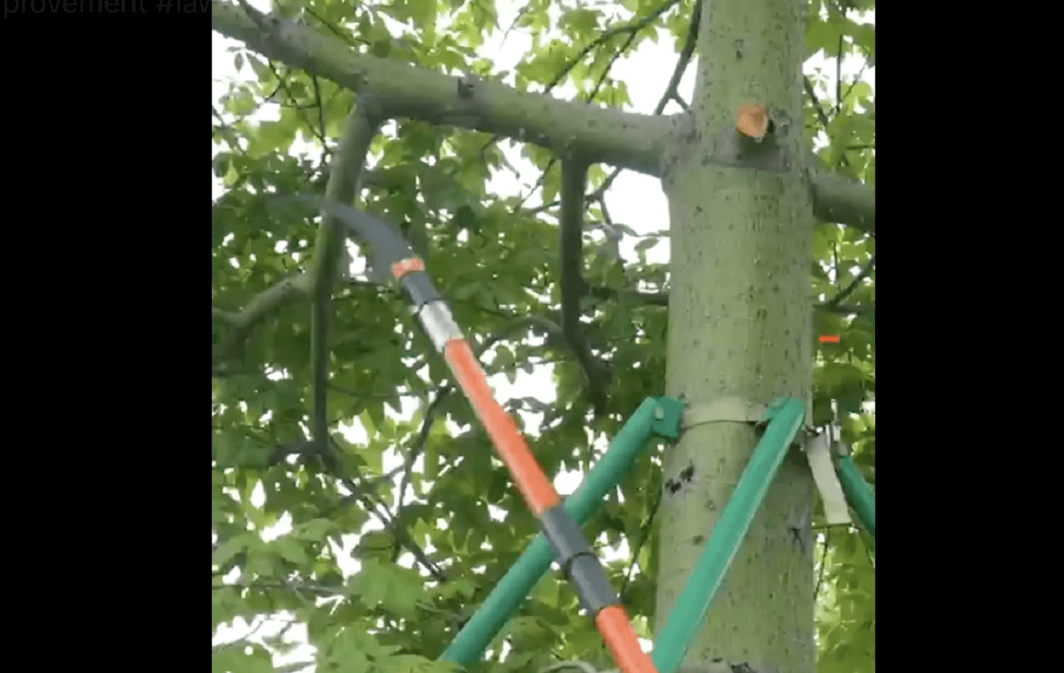 VEVOR Manual Pole Saw To Prune High Branches Easily - VEVOR Blog