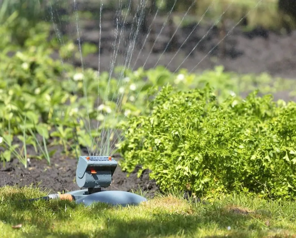 10 Must-Know Irrigation Tips for a Lush Garden - VEVOR Blog