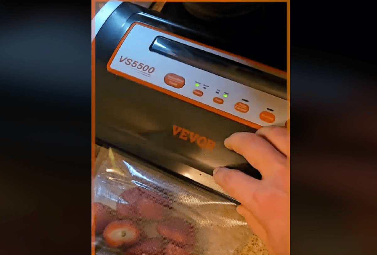 Keep Food Fresh With VEVOR Chamber Vacuum Sealer - VEVOR Blog