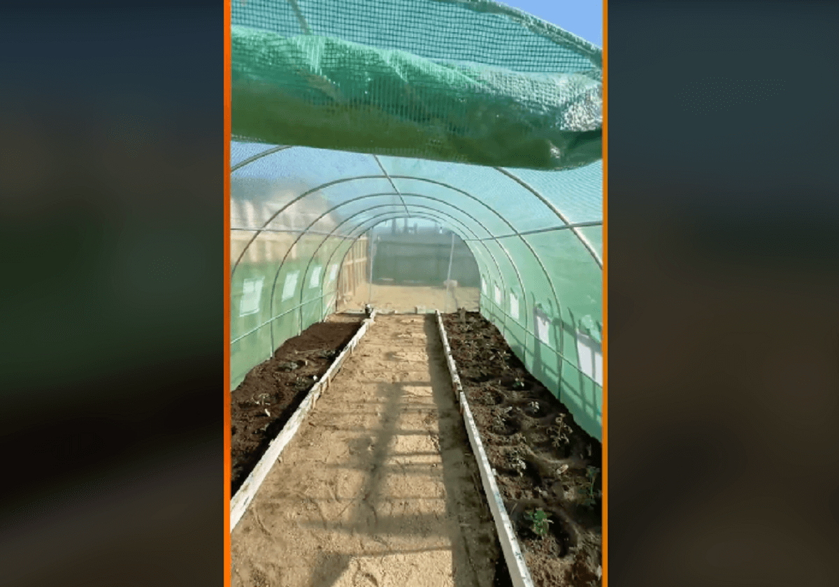 VEVOR Walk-In Tunnel Greenhouse: Your Gardening Solution - VEVOR Blog