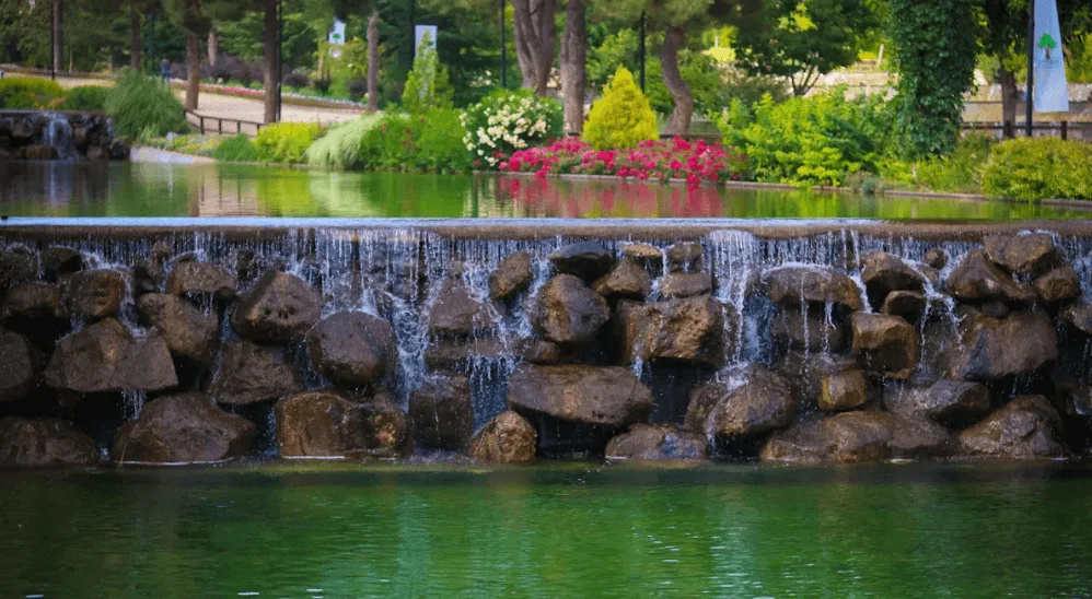 5 passos para construir um lago no seu quintal - Blog VEVOR