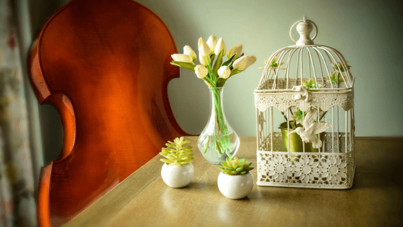 Slik dekorerer du et fuglebur: Kreative ideer for ethvert arrangement